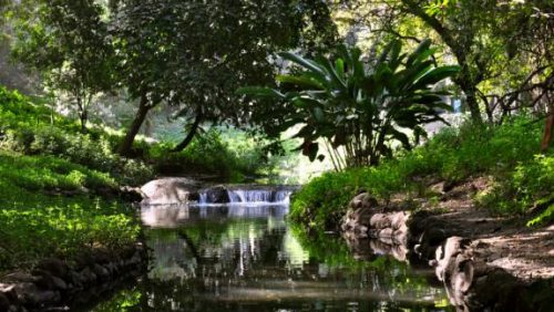 Osho Garden - Townpune.com